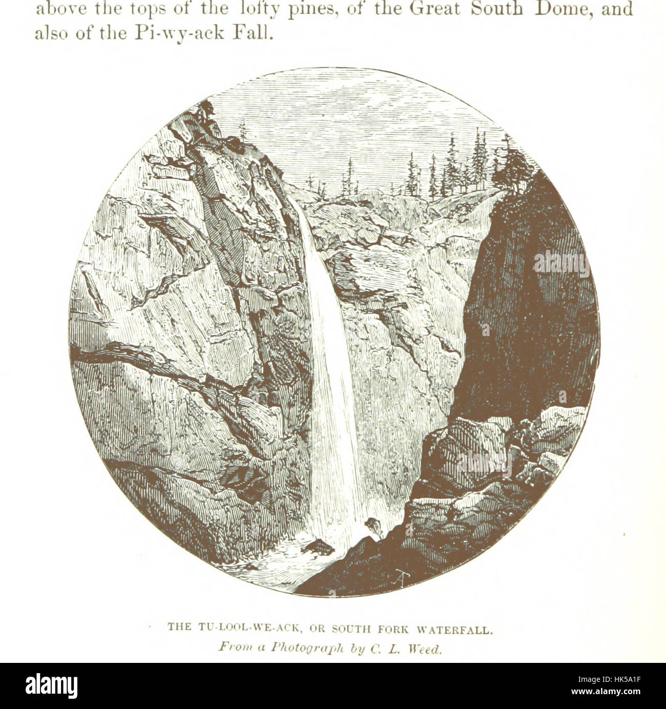 Illustration from 'Scenes of Wonder and Curiosity in California ...