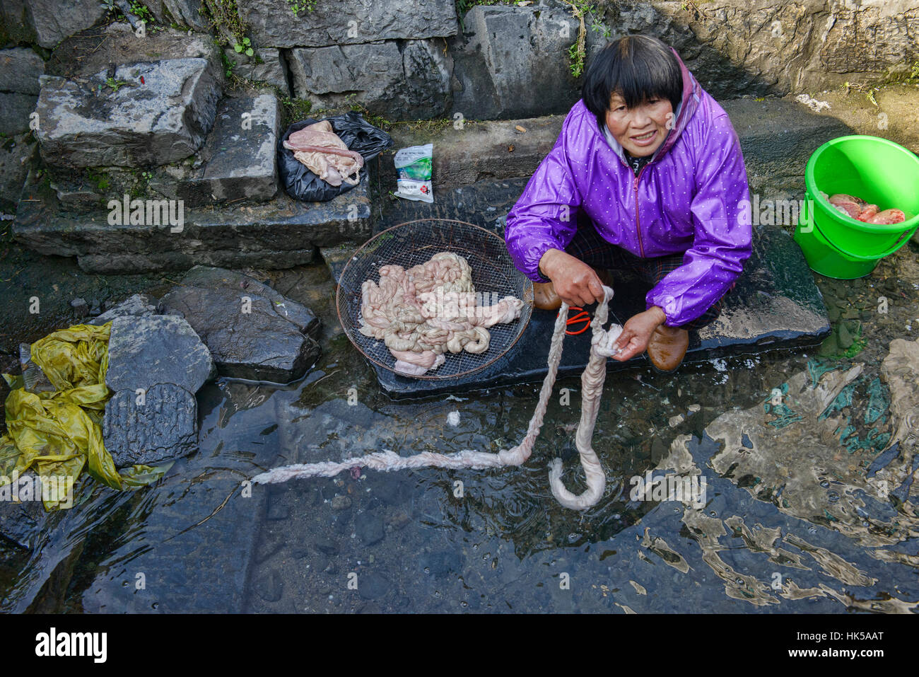Washing intestines hi-res stock photography and images - Alamy