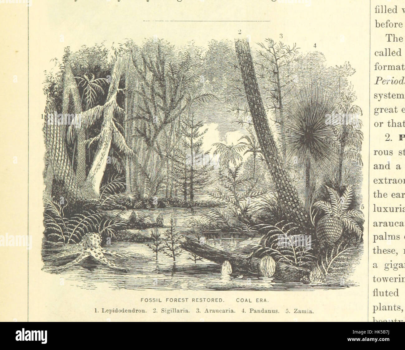 Photograph from 'Elements of Physical Geography,' illustrating the ...