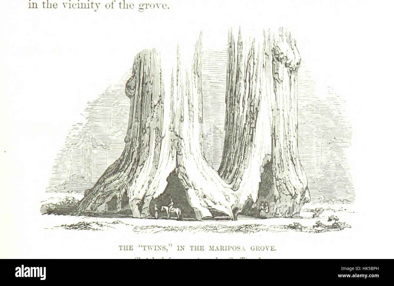 Illustration from page 181 of 'Scenes of wonder and curiosity in ...