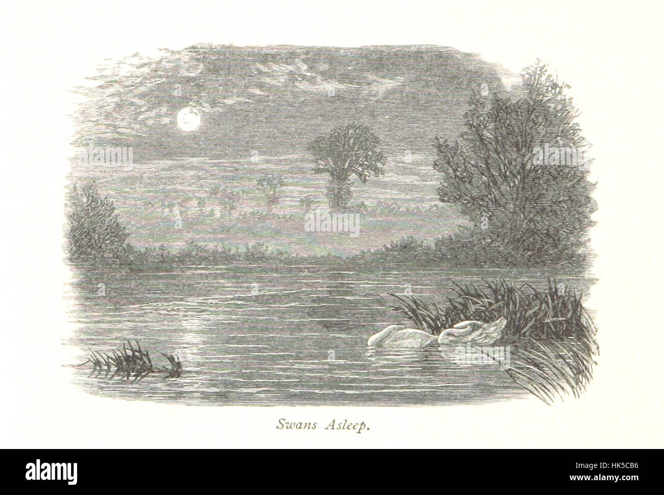 Illustration from 'Life on the Upper Thames,' showcasing daily life and ...