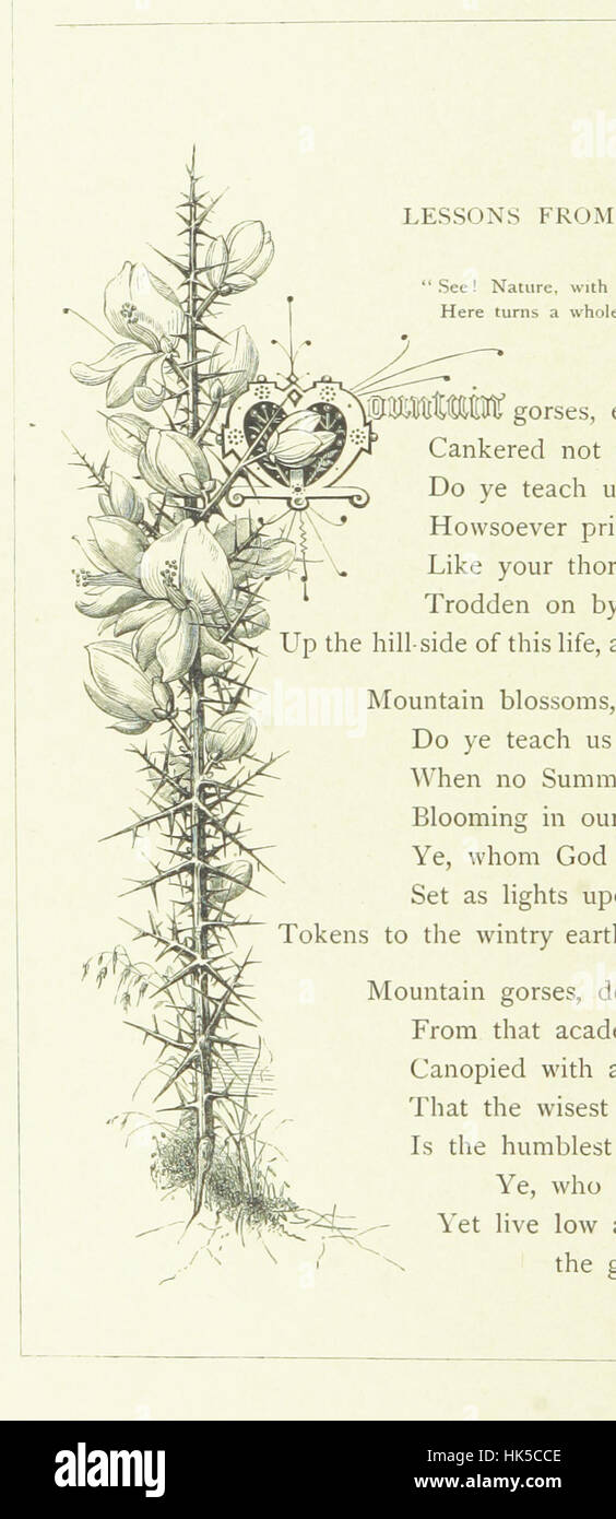 Image from 'The Months,' featuring illustrations by Noel Humphreys and ...