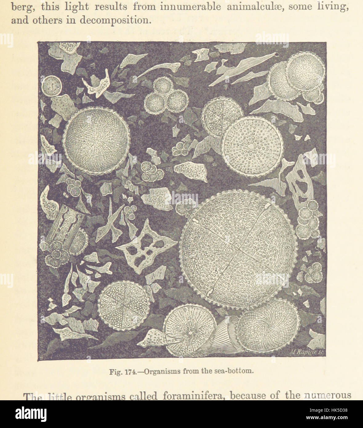 An image from 'The Earth,' focusing on the phenomena of Earth’s natural ...