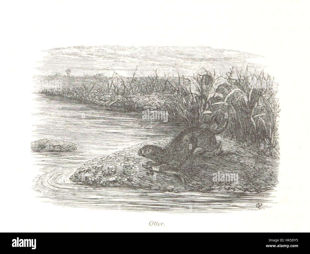 Image taken from page 190 of 'Life on the Upper Thames', depicting life ...