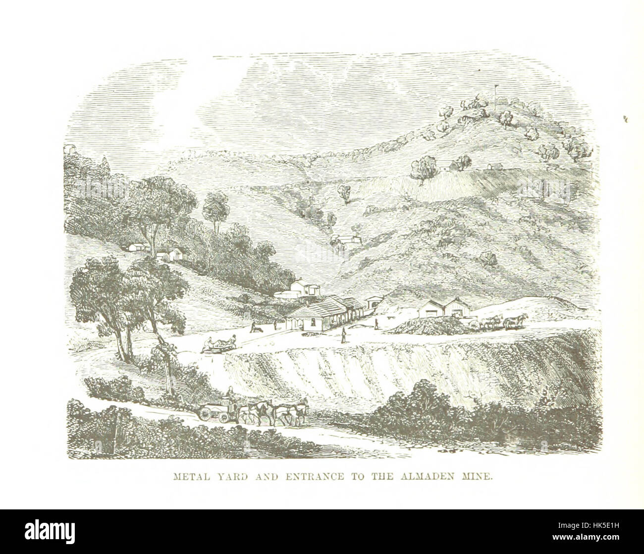 Image from 'Scenes of Wonder and Curiosity in California,' featuring ...