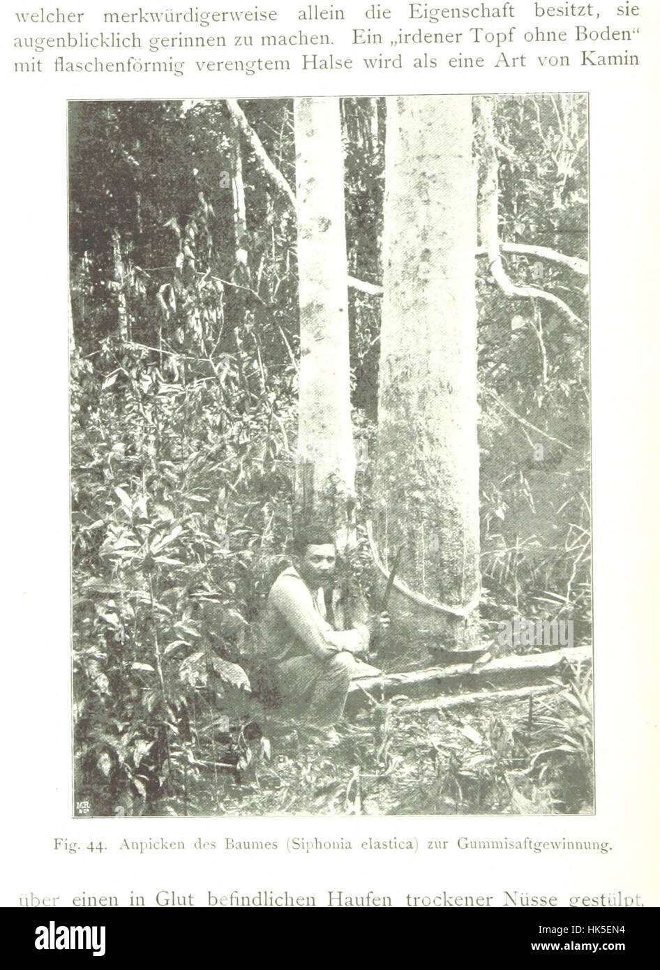 Image from 'Das republikanische Brasilien', depicting the history and ...