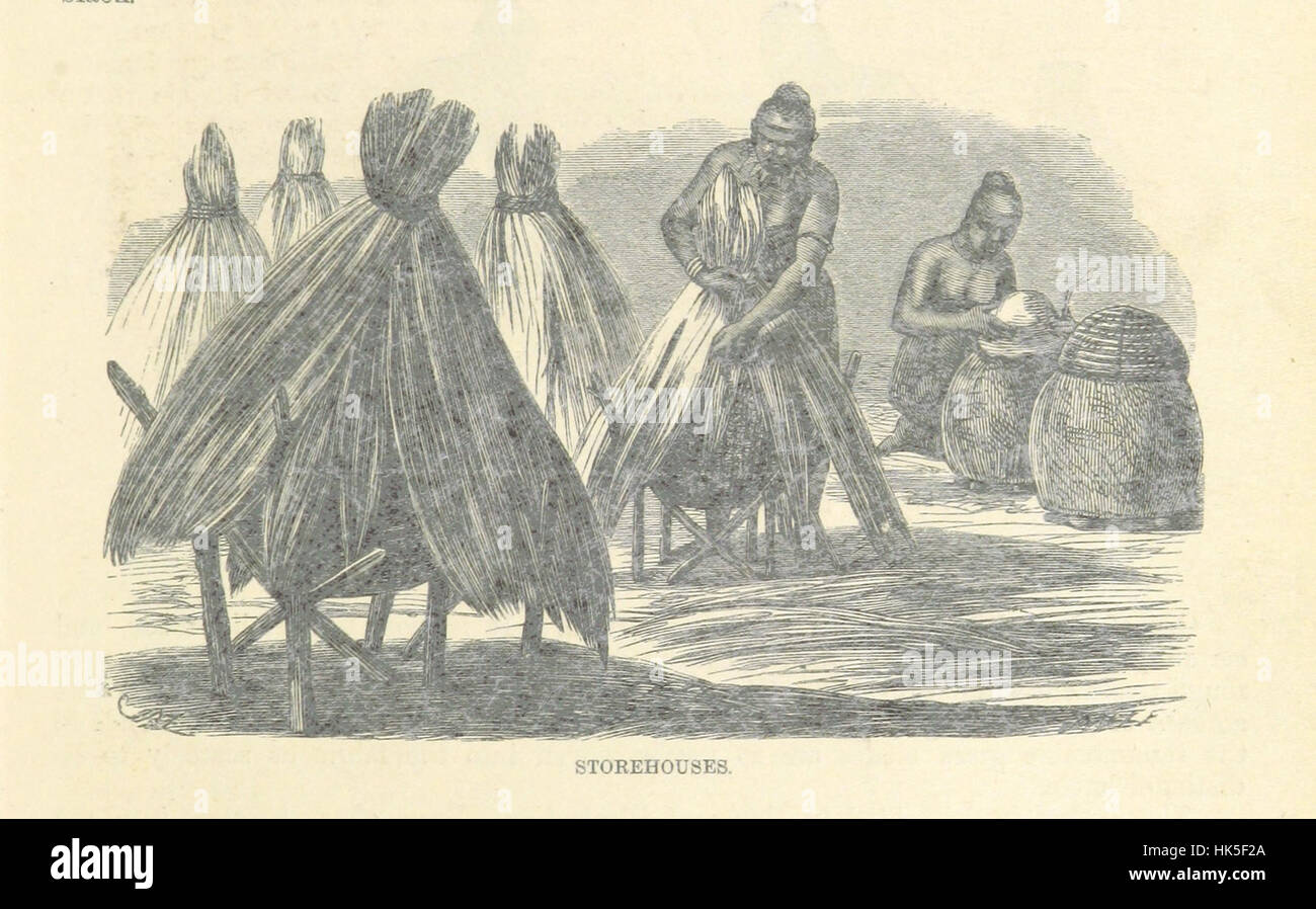 An image from 'The Natural History of Man,' depicting various aspects ...