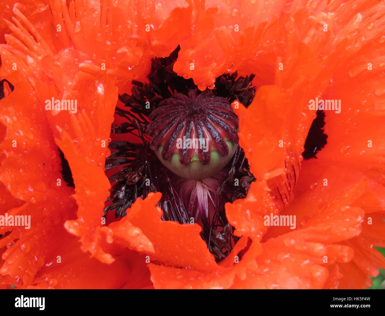 Pressure fringes hi-res stock photography and images - Alamy