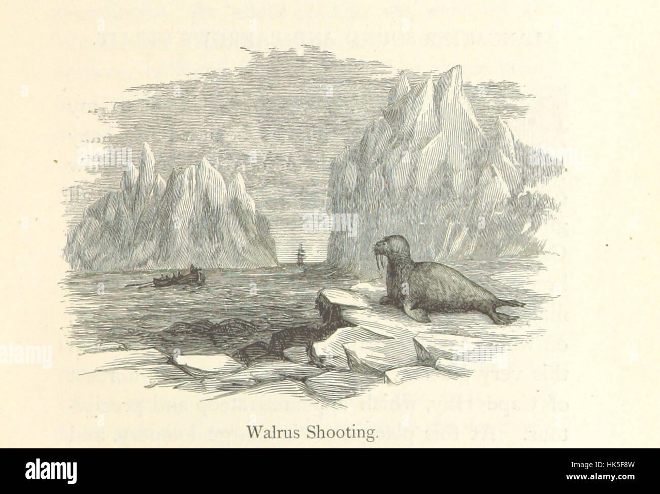 Gulf of boothia hi-res stock photography and images - Alamy