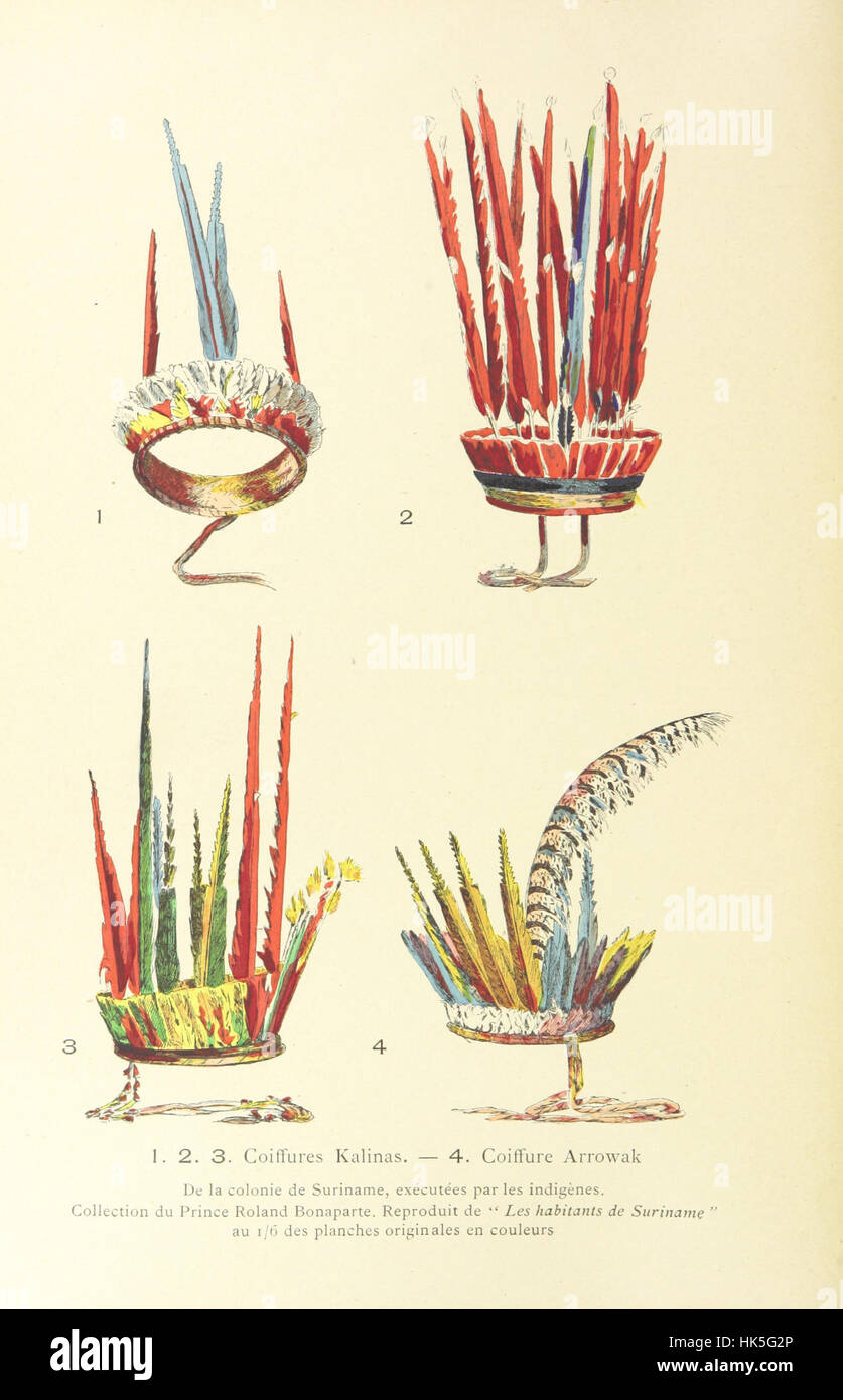 Illustration from 'Les Travaux Scientifiques de S.A.I. le Prince Roland ...