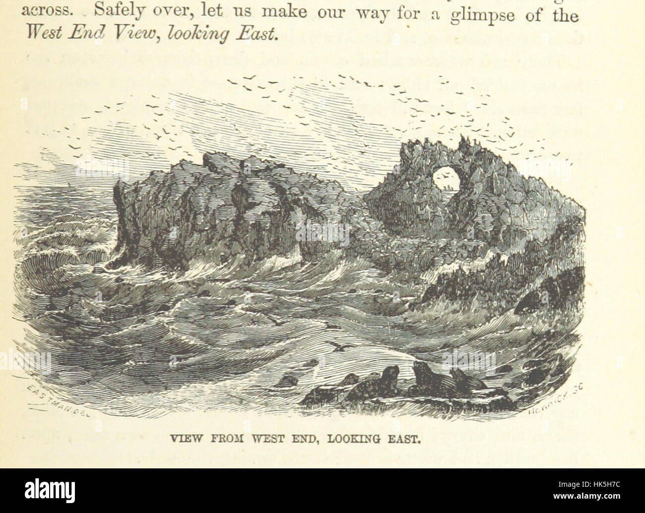 An image from 'Scenes of Wonder and Curiosity in California,' featuring ...