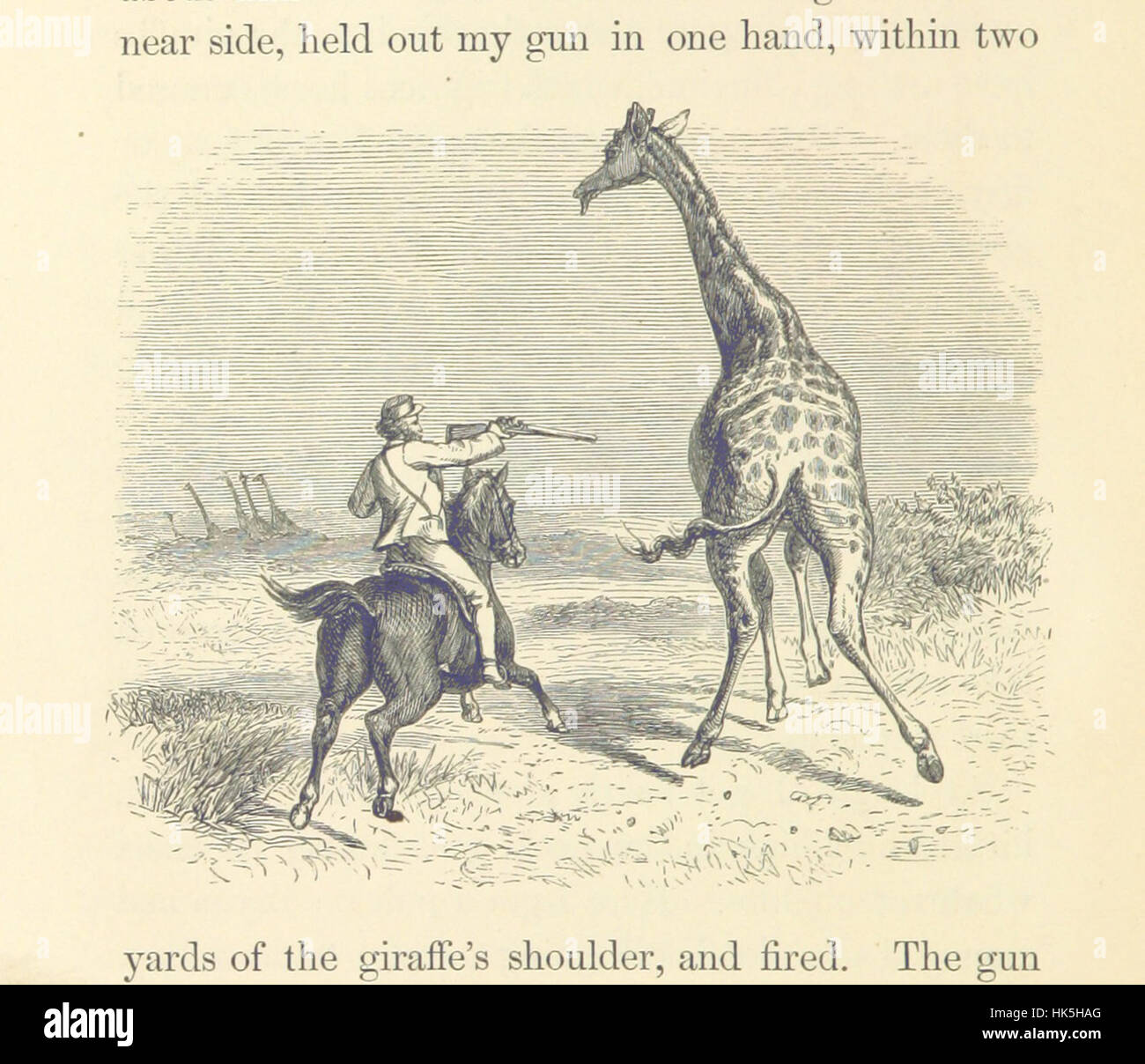 Photograph from 'African Hunting,' documenting hunting expeditions ...