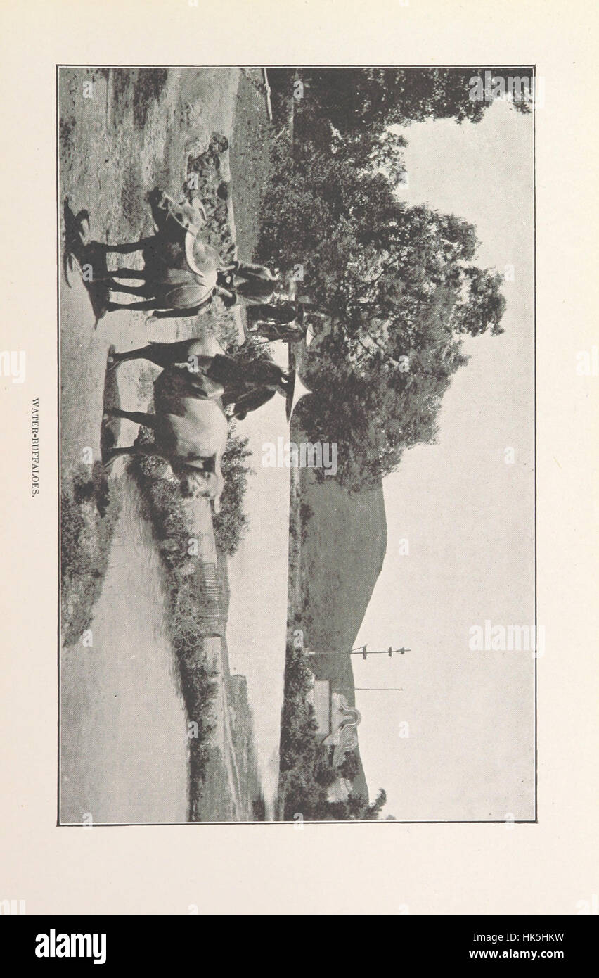 Image from page 207 of 'The Mystic Flowery Land', depicting a scene ...