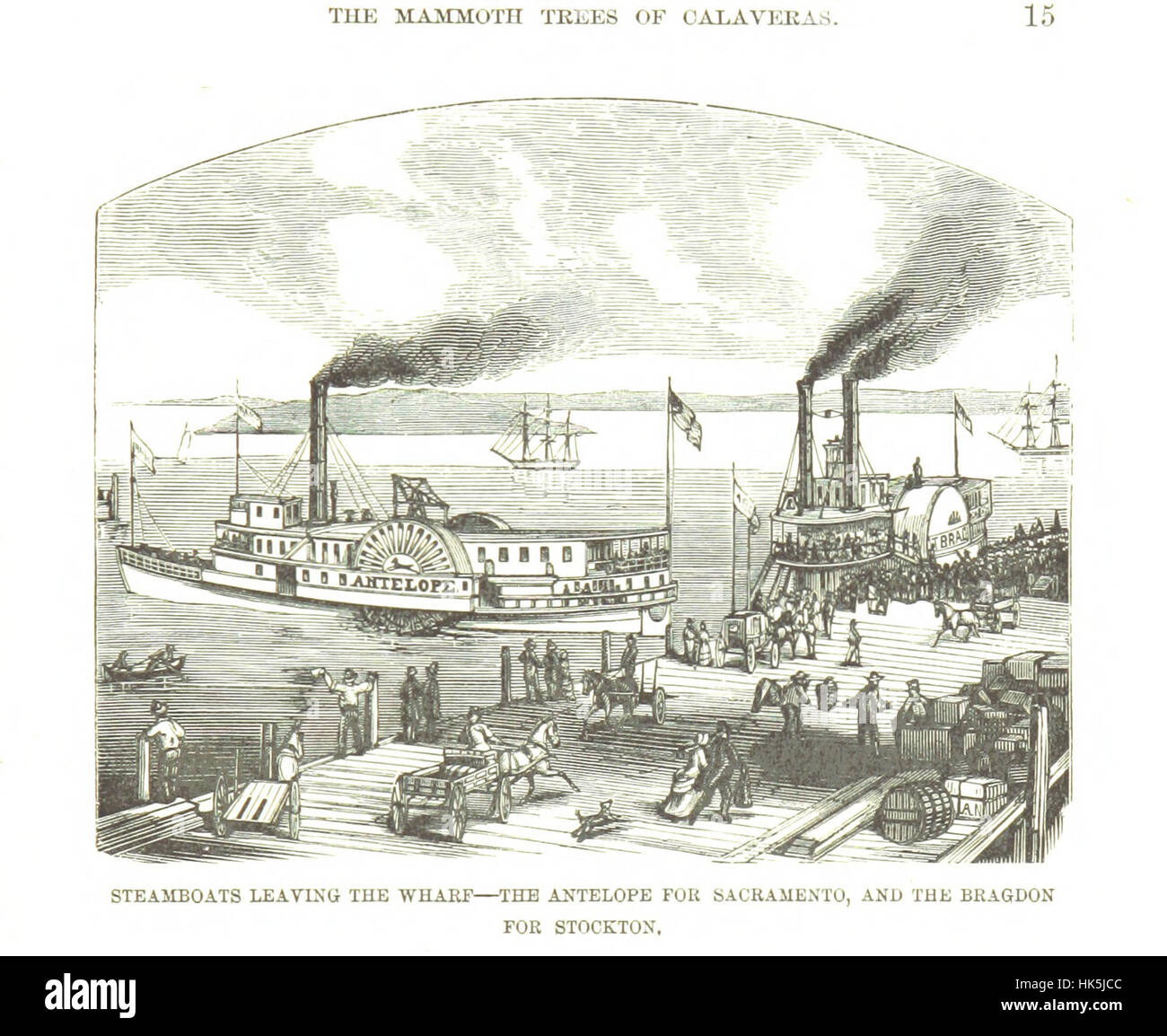 Image from 'Scenes of Wonder and Curiosity in California' featuring ...