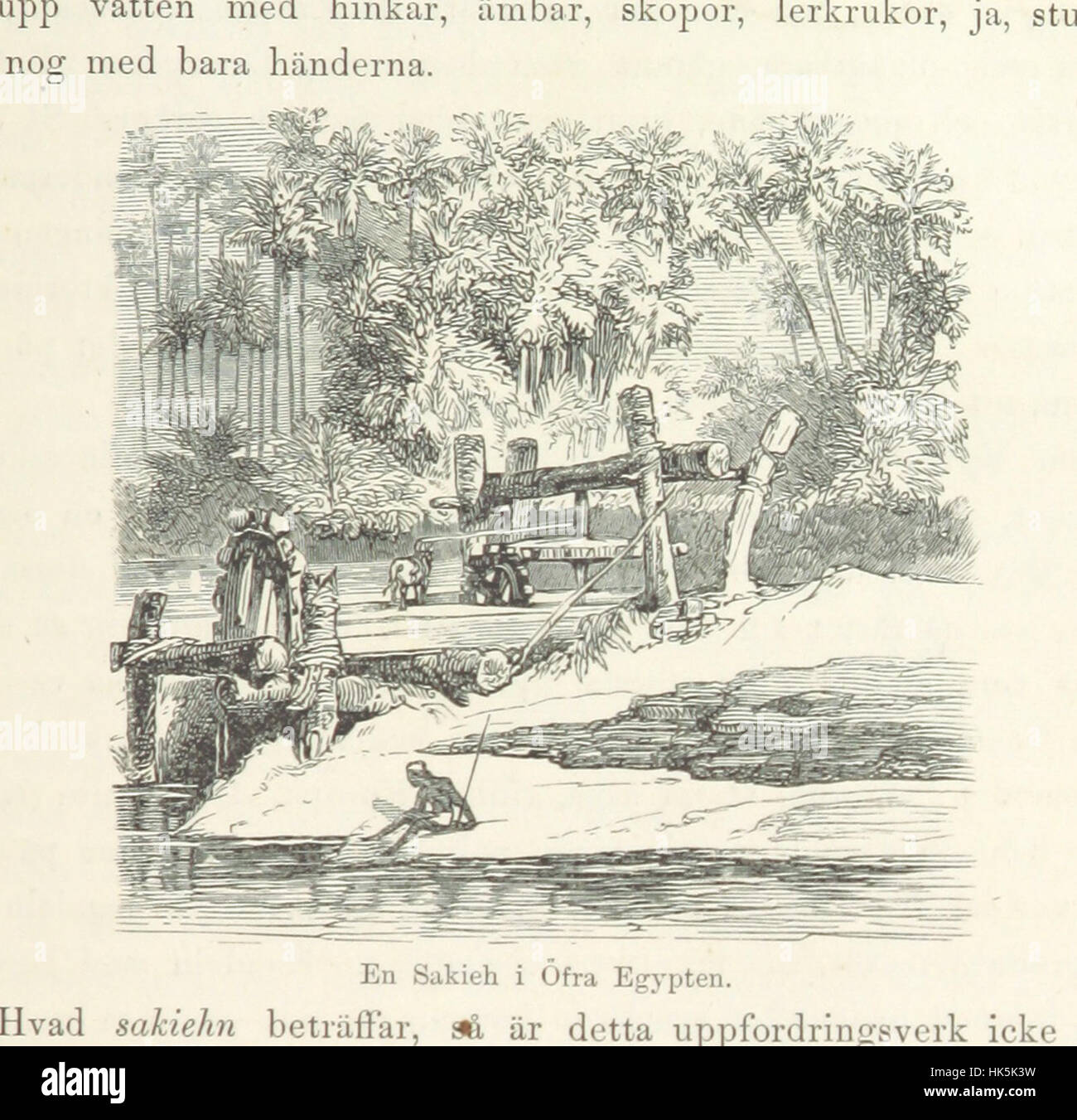 An illustration from 'Tvaø Maønader i Egypten,' depicting observations ...