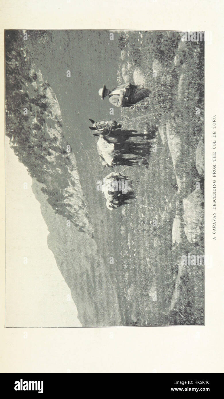 Through the High Pyrenees. With illustrations and supplementary ...