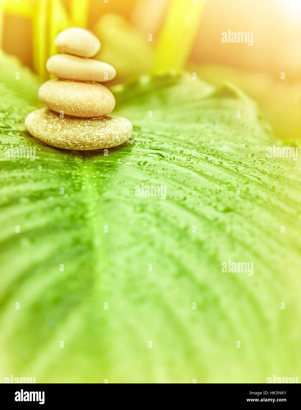 leaf, green, wellbeing, balance, spa, mineral spring, medicinal spring ...