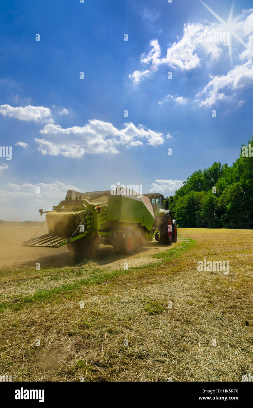 agrarian, dust, agriculture, farming, field, summer, summerly, stubble ...