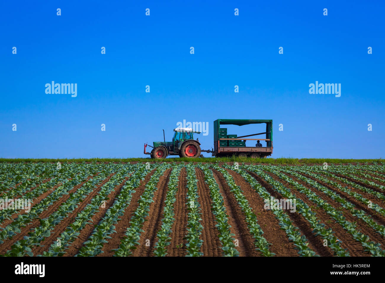 agriculture, farming, field, acre, tractor, farmer, field work, harvest ...