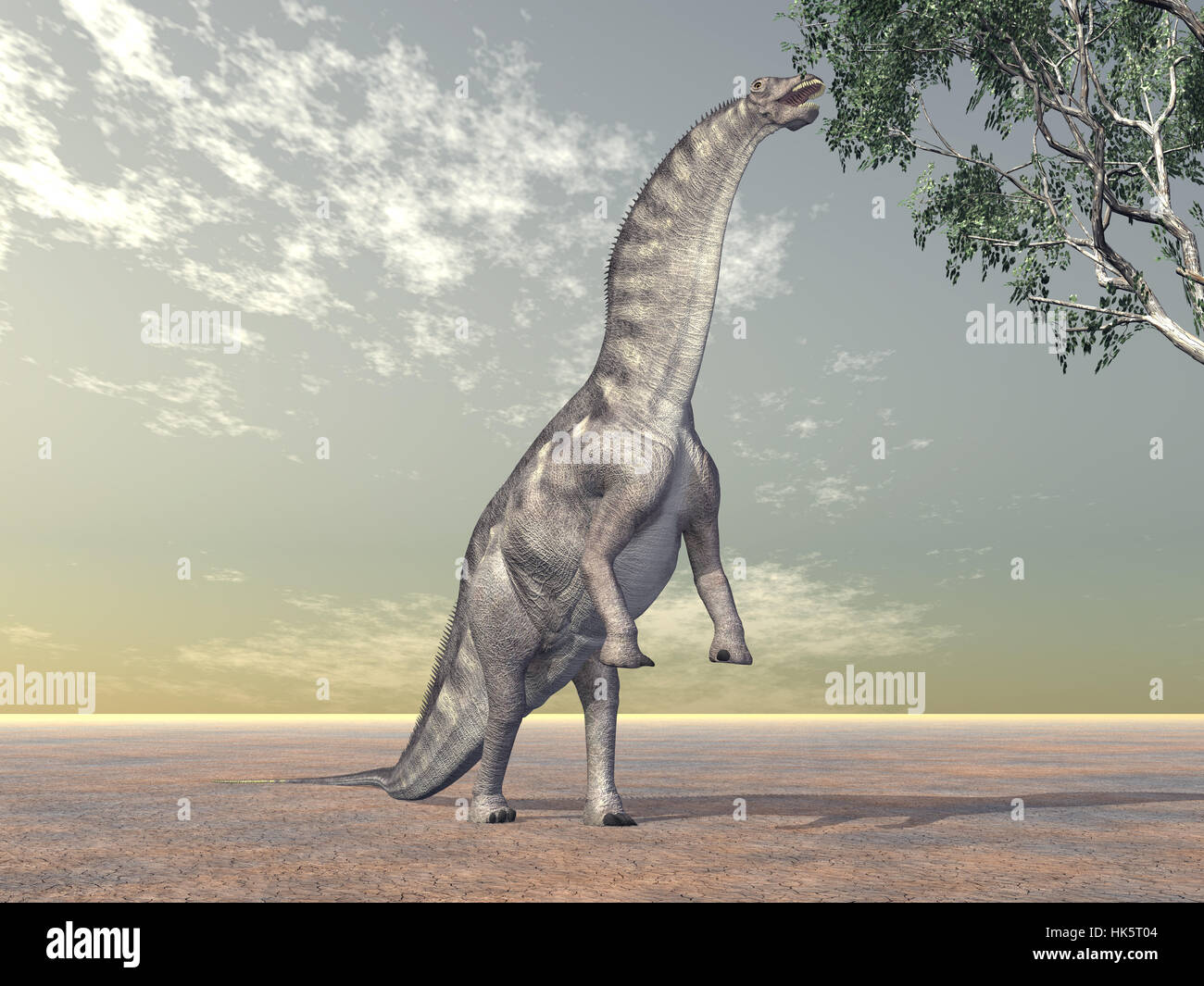 dinosaur, giant, palaeontology, big, large, enormous, extreme, powerful ...