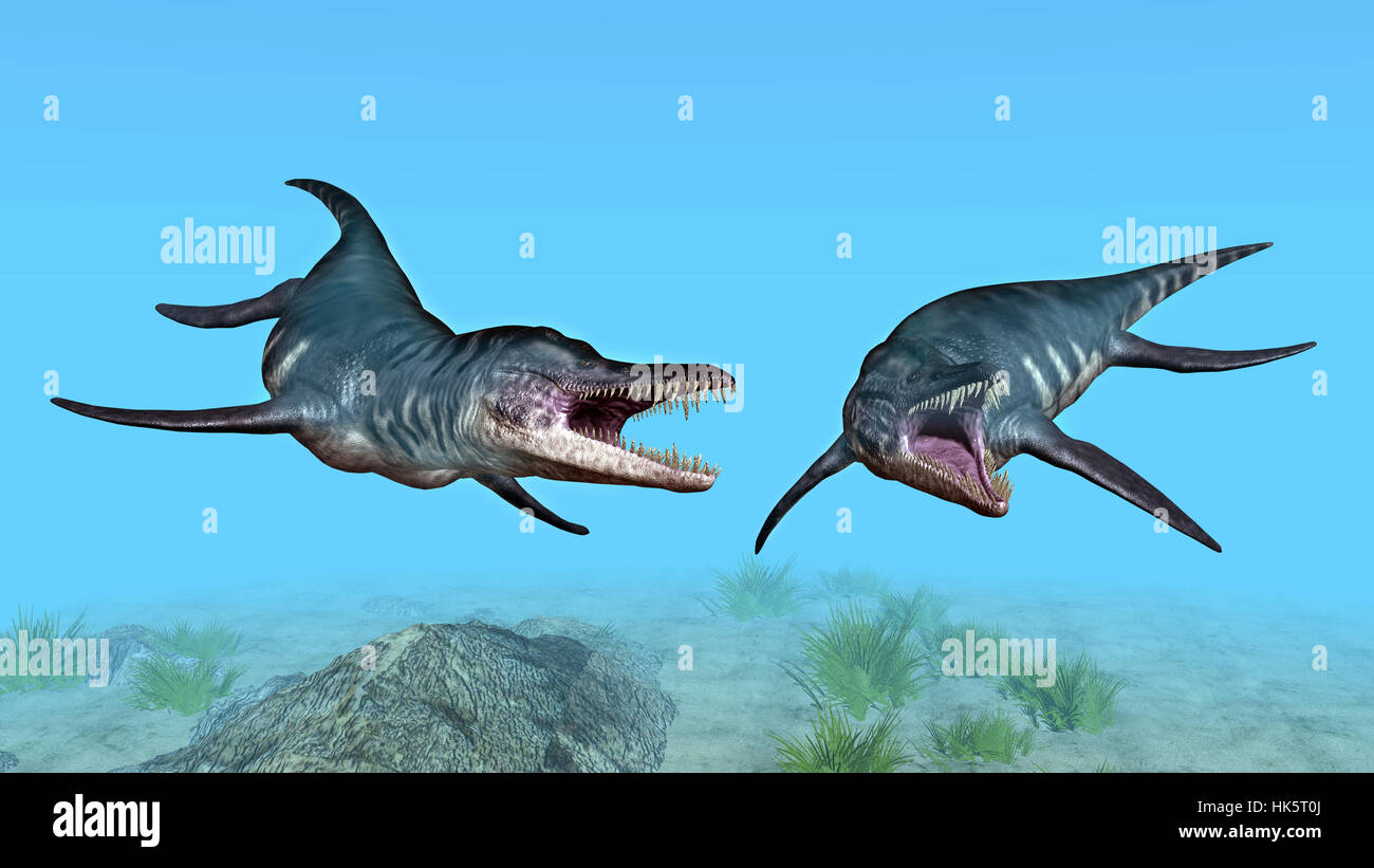 Liopleurodon hi-res stock photography and images - Alamy