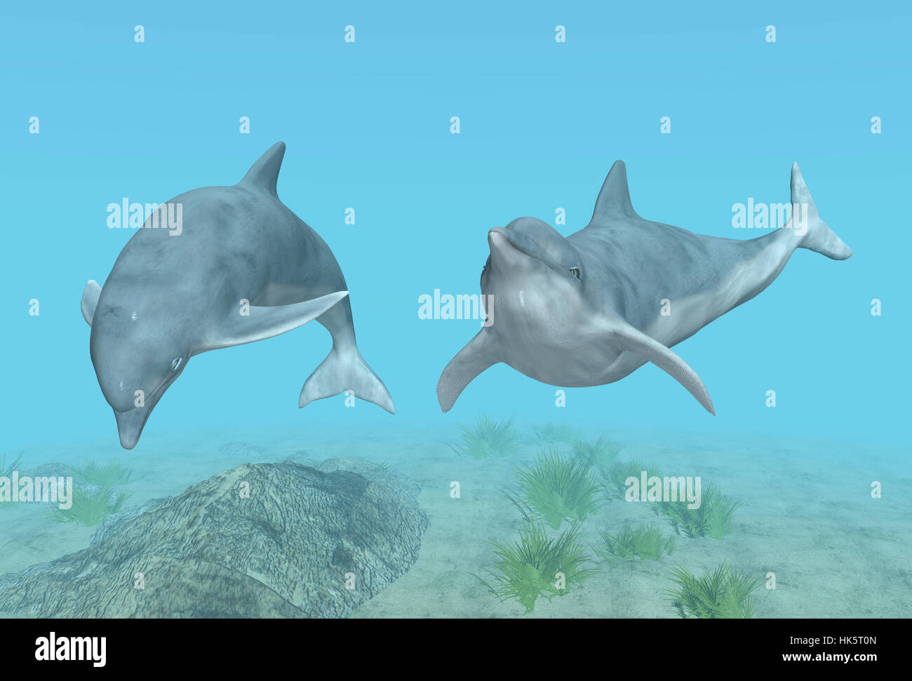 dolphin, salt water, sea, ocean, water, animal, underwater, dive ...