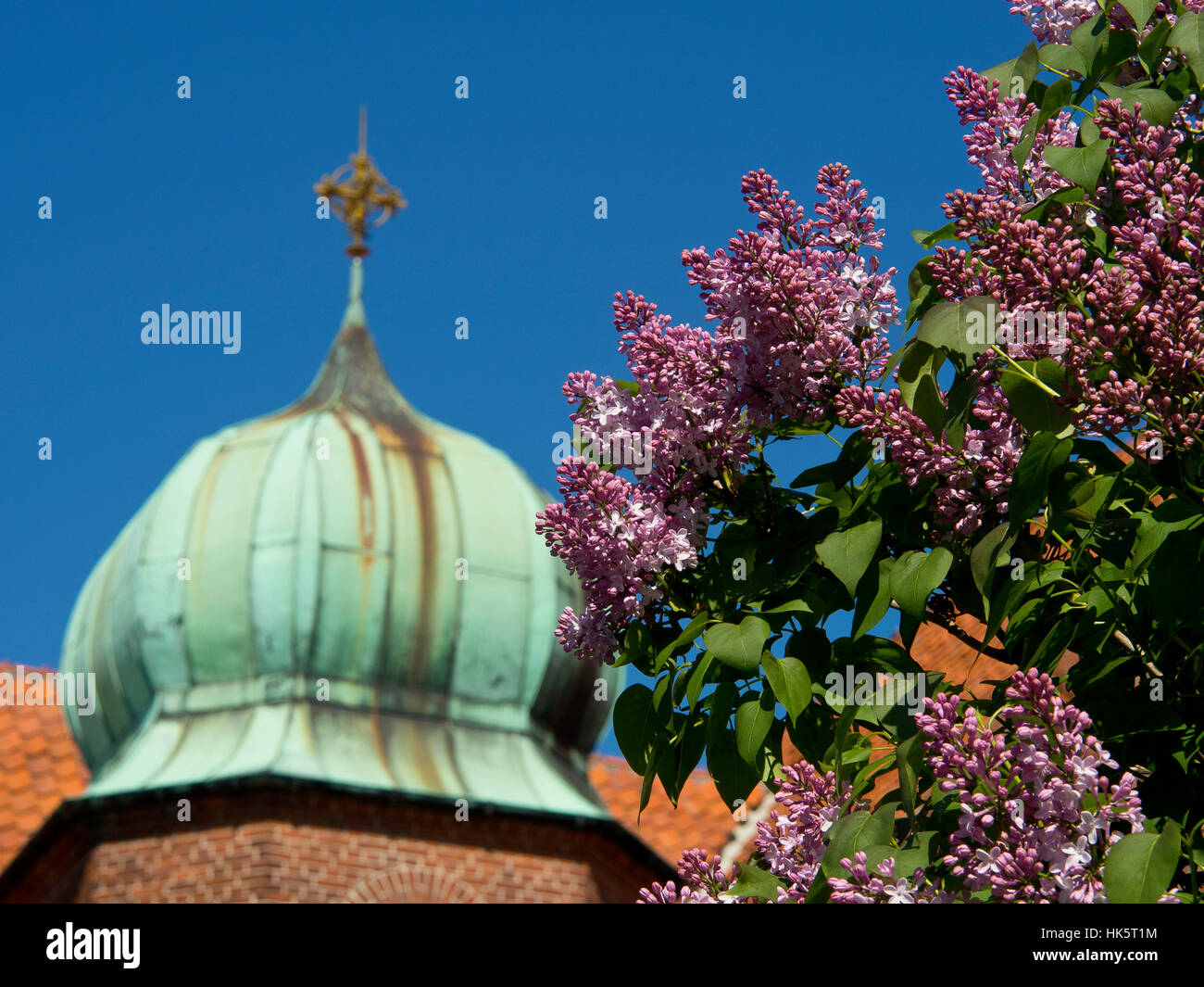 tower, church, denmark, steeple, tower, church, heaven, paradise ...