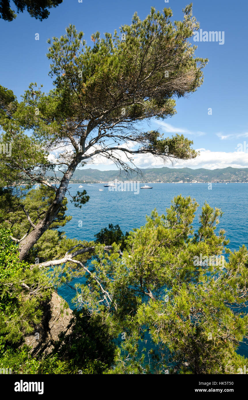 waves, sight, view, outlook, perspective, vista, panorama, lookout ...