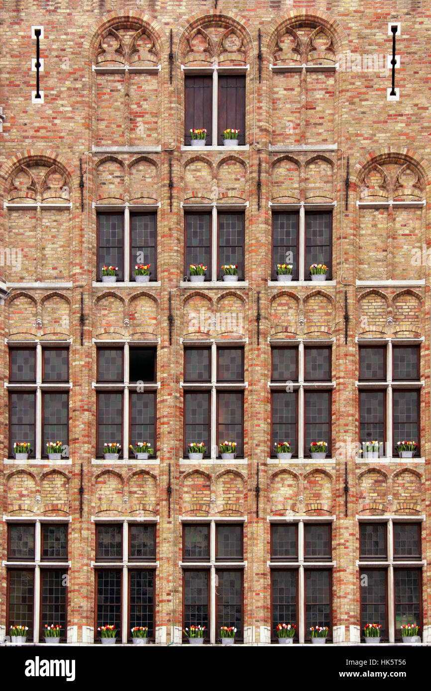 window, porthole, dormer window, pane, tulips, flanders, bruges, weekly ...