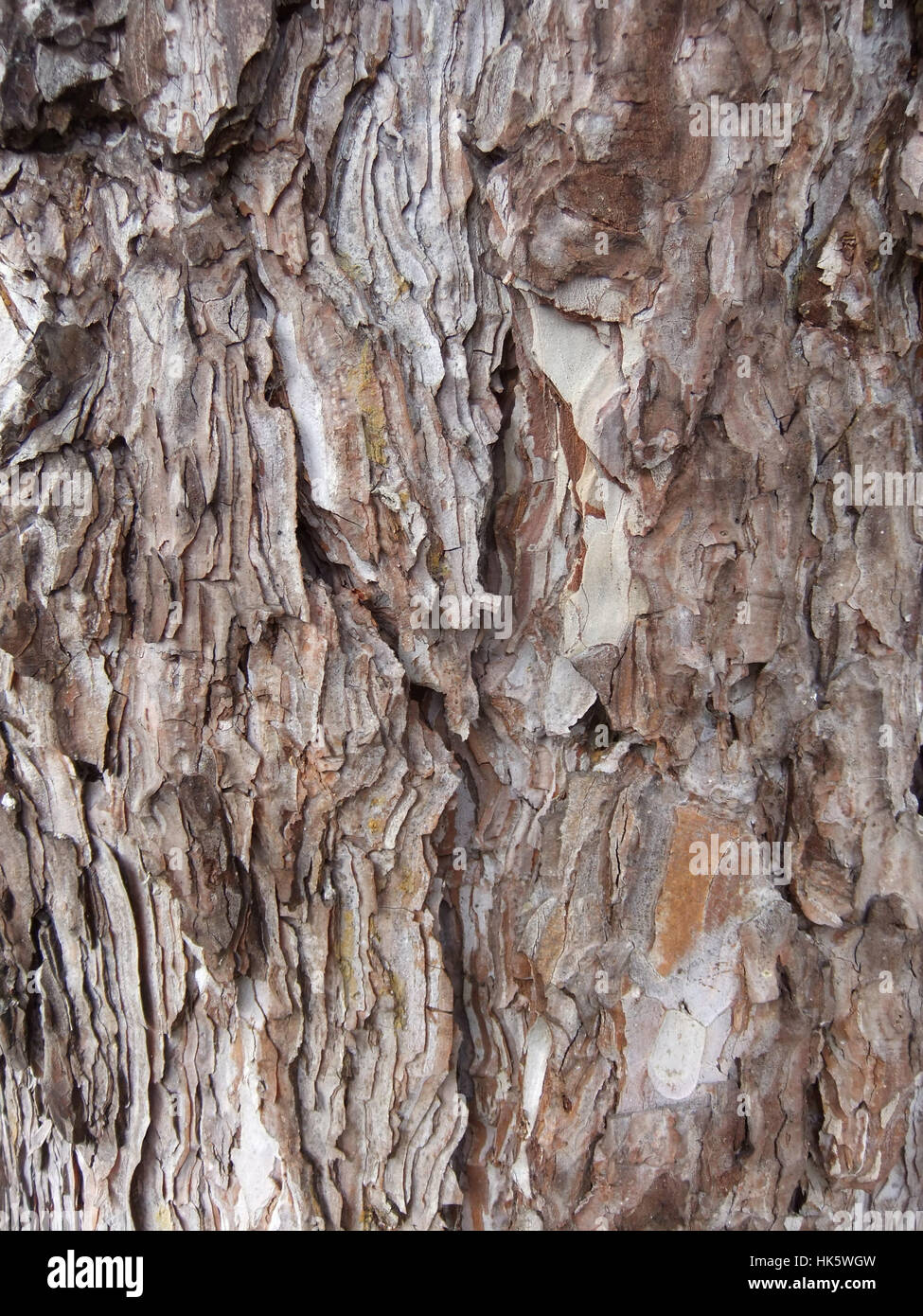 Basics layers hi-res stock photography and images - Alamy