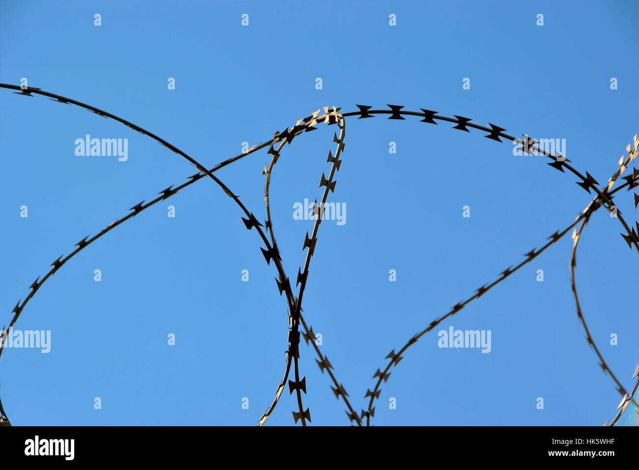 barrier, protect, protection, barbed wire, defense, arrest, contactor ...
