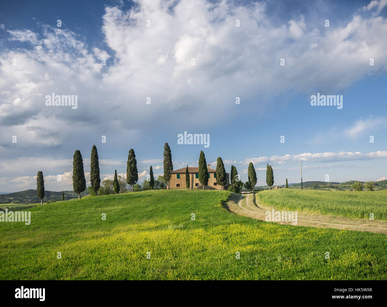 europe, evening, tuscany, dusk, cypress, farmland, landscape, scenery ...