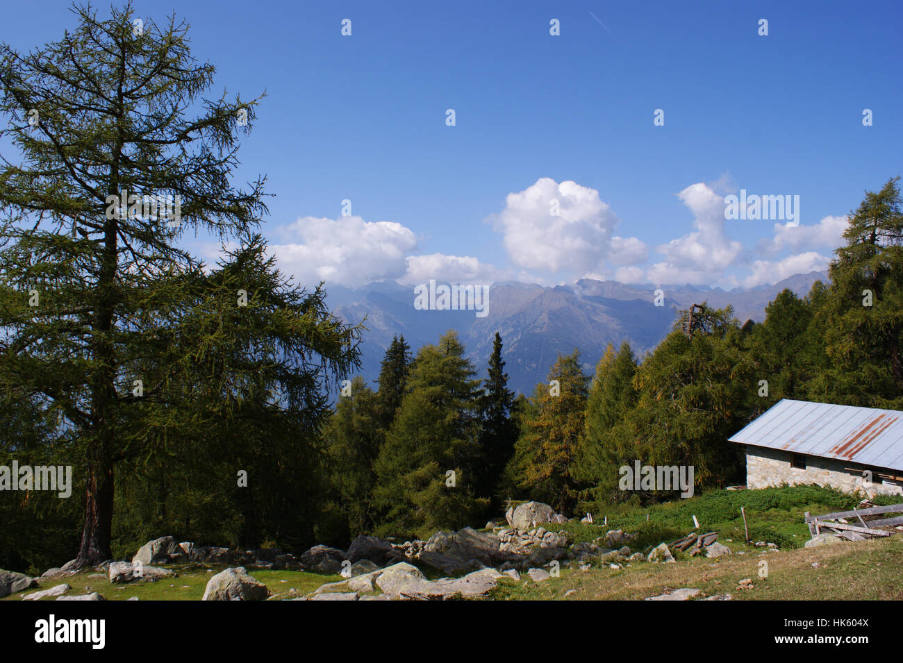 mountain landscape in south tyrol,italy Stock Photo - Alamy