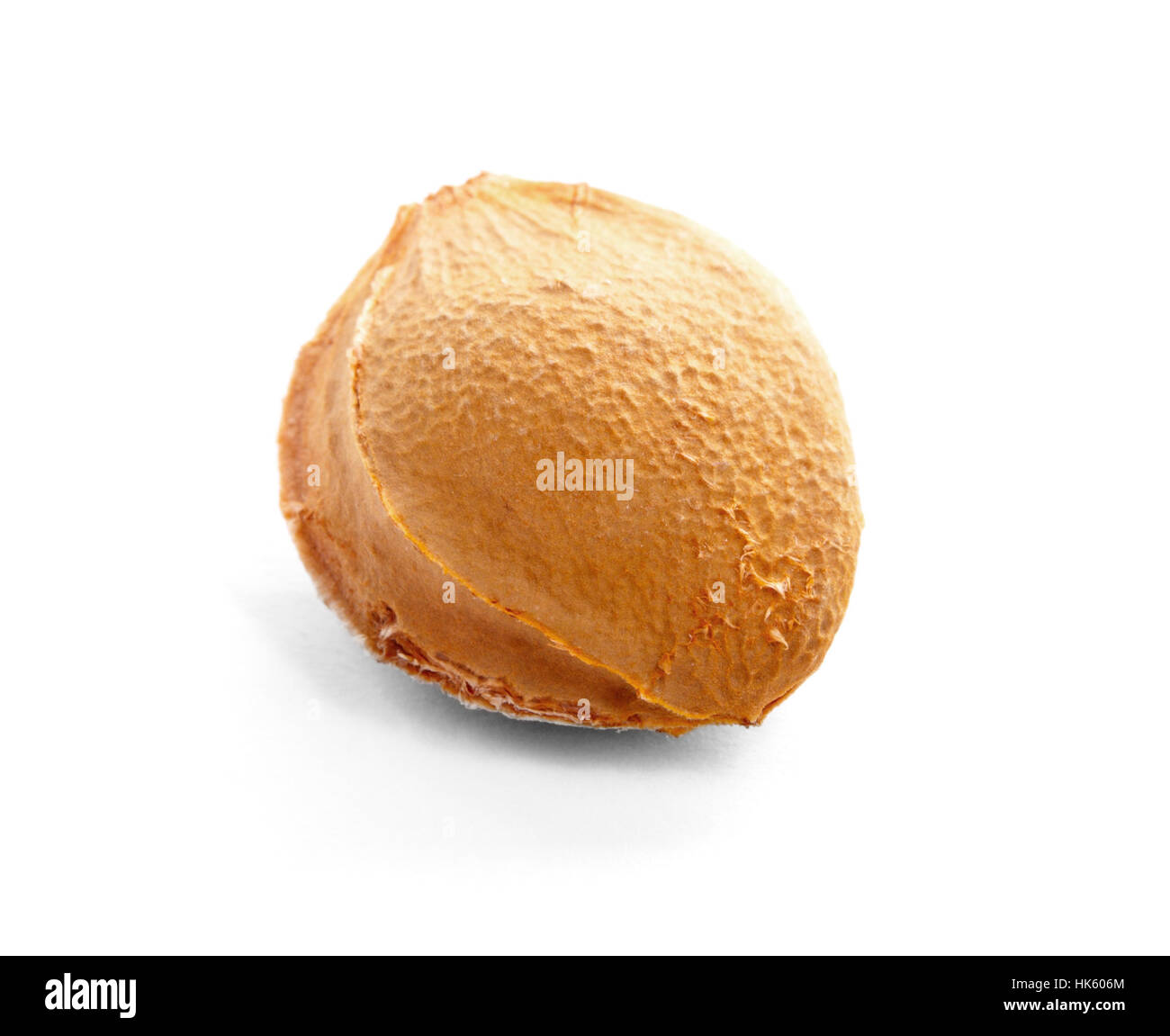 Colorful apricot pip isolated on white background Stock Photo - Alamy