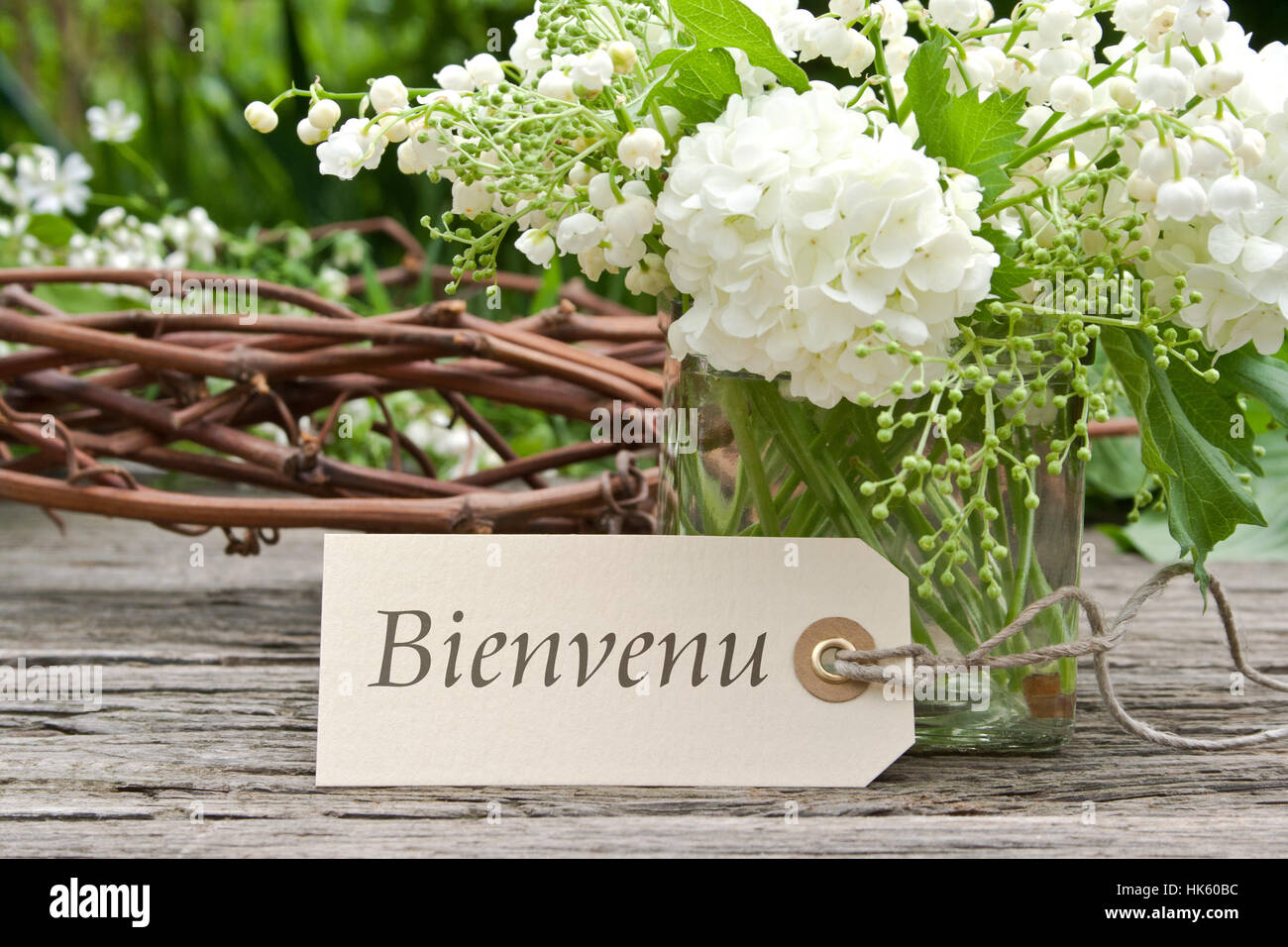 write, wrote, writing, writes, board, flower, plant, wood, spring, font ...