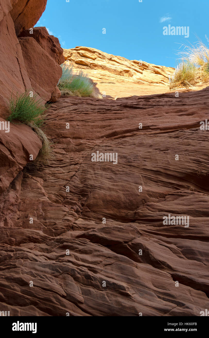 environment, enviroment, america, erosion, Canyon, colors, colours ...