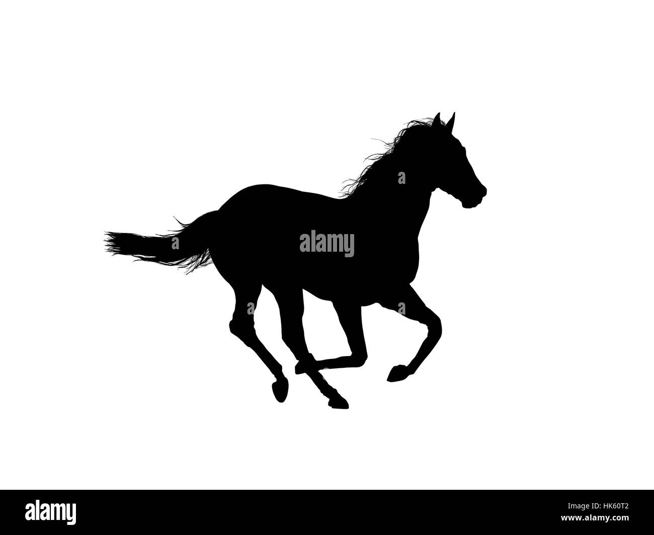 Galloping horse rider view Cut Out Stock Images & Pictures - Alamy
