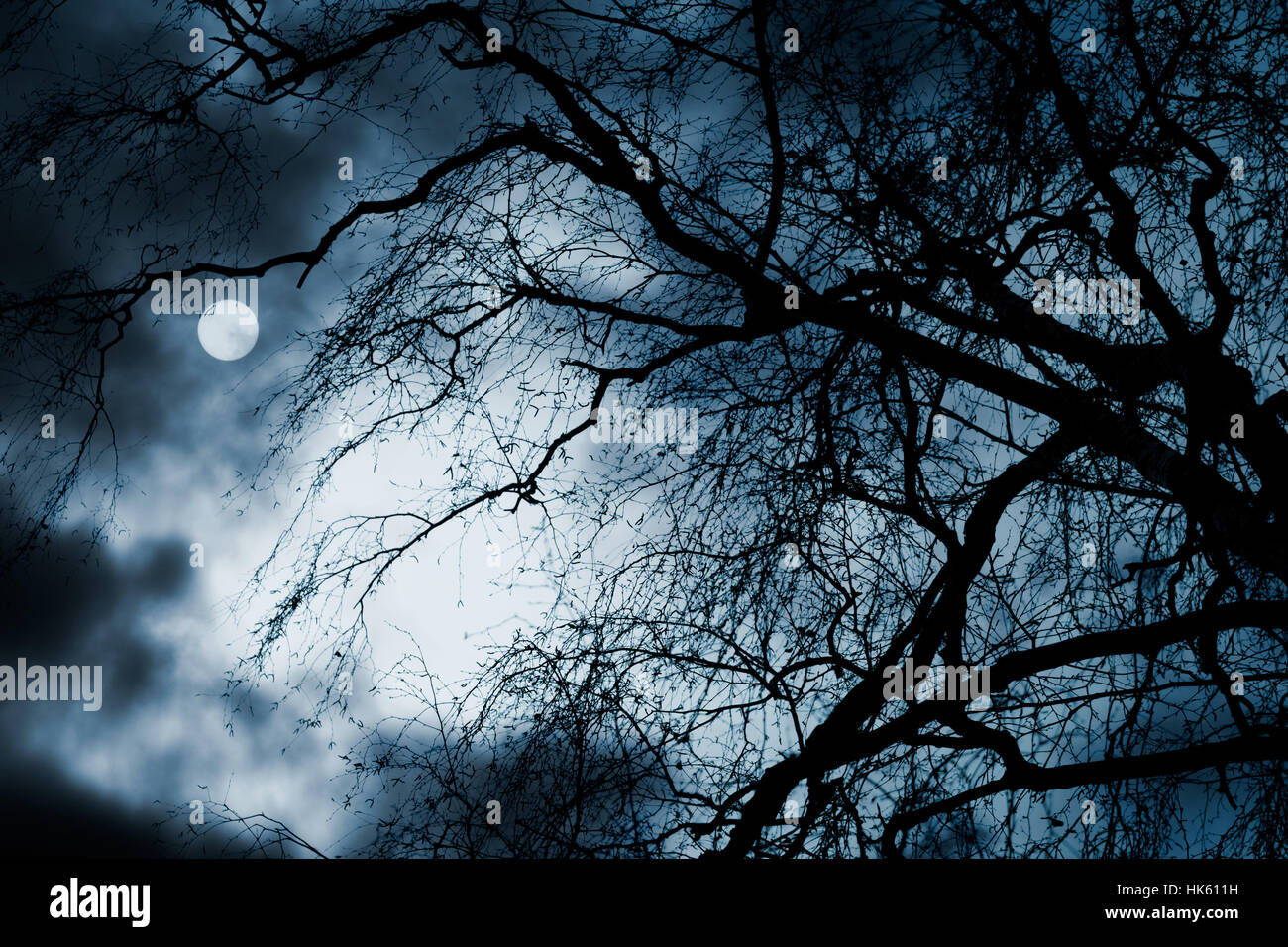 blue, death, tree, night, nighttime, sad, black, swarthy, jetblack ...