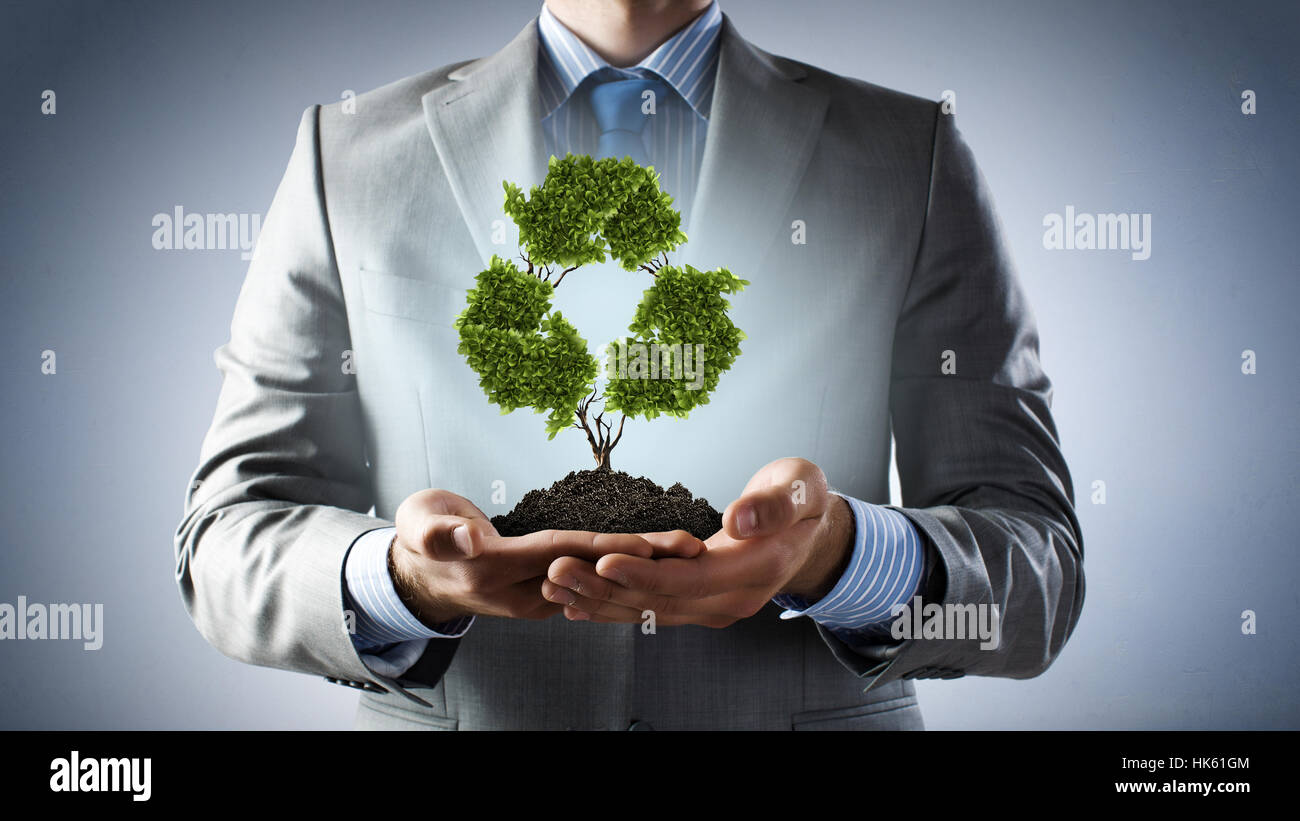 Tree in palms as symbol of recycling nature protection hi-res stock ...