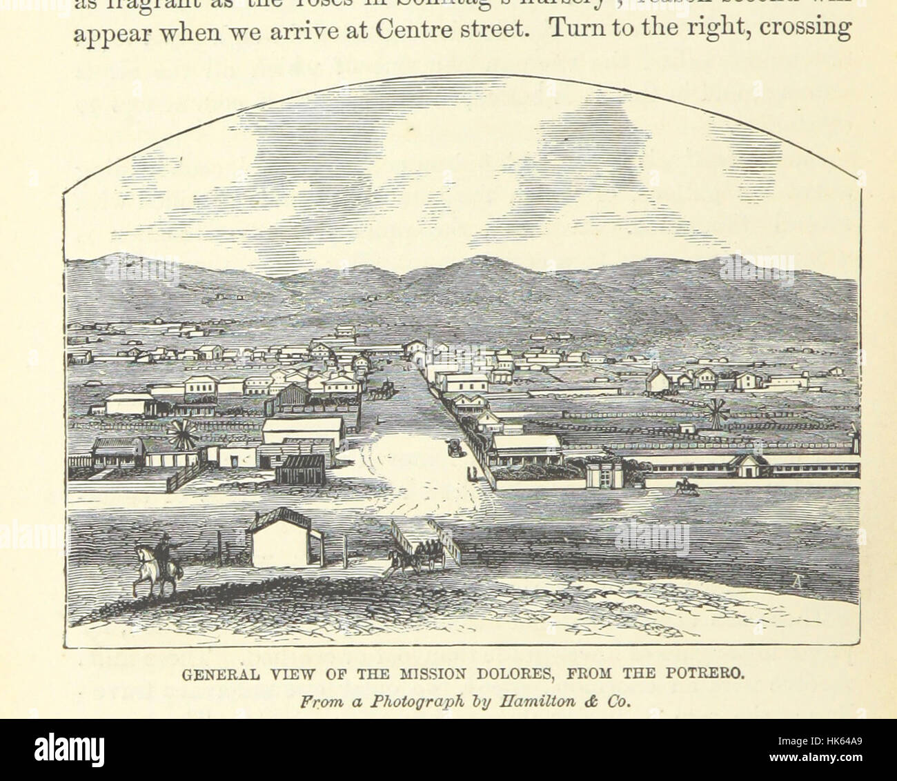 An illustration from 'Scenes of Wonder and Curiosity in California ...