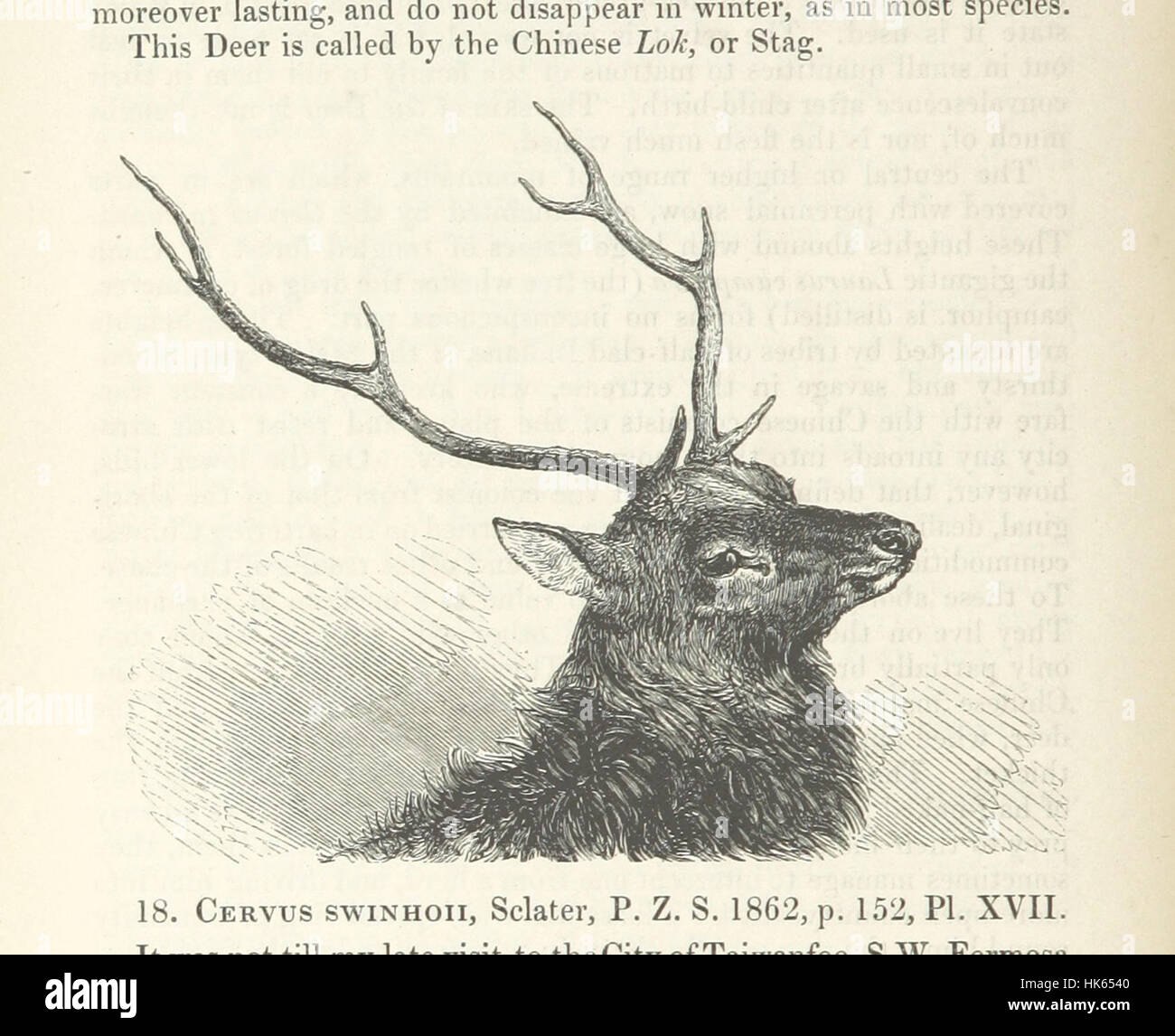 An image from 'On the Mammals of the Island of Formosa,' detailing the ...