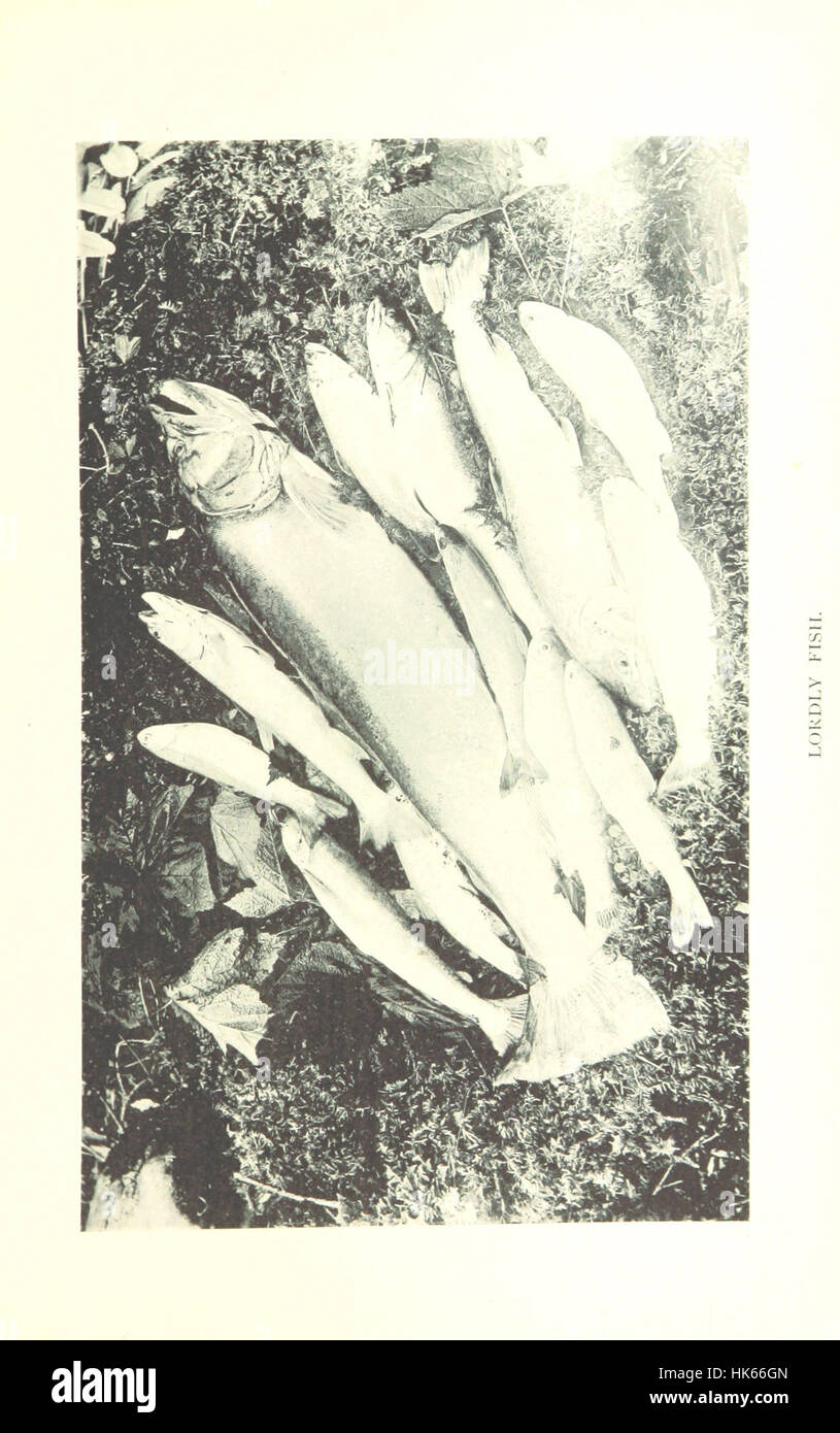 An image from page 227 of 'On the Cars and Off', featuring collotype ...