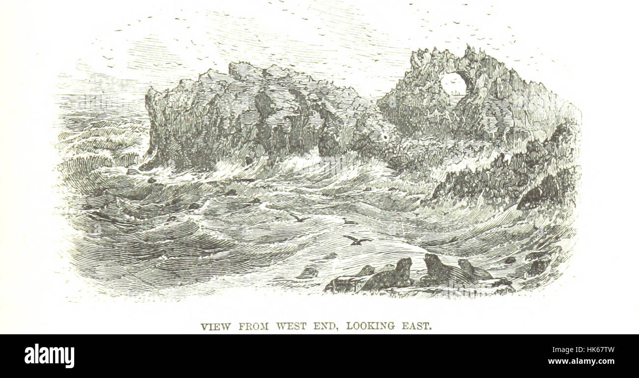 Illustration from 'Scenes of Wonder and Curiosity in California ...