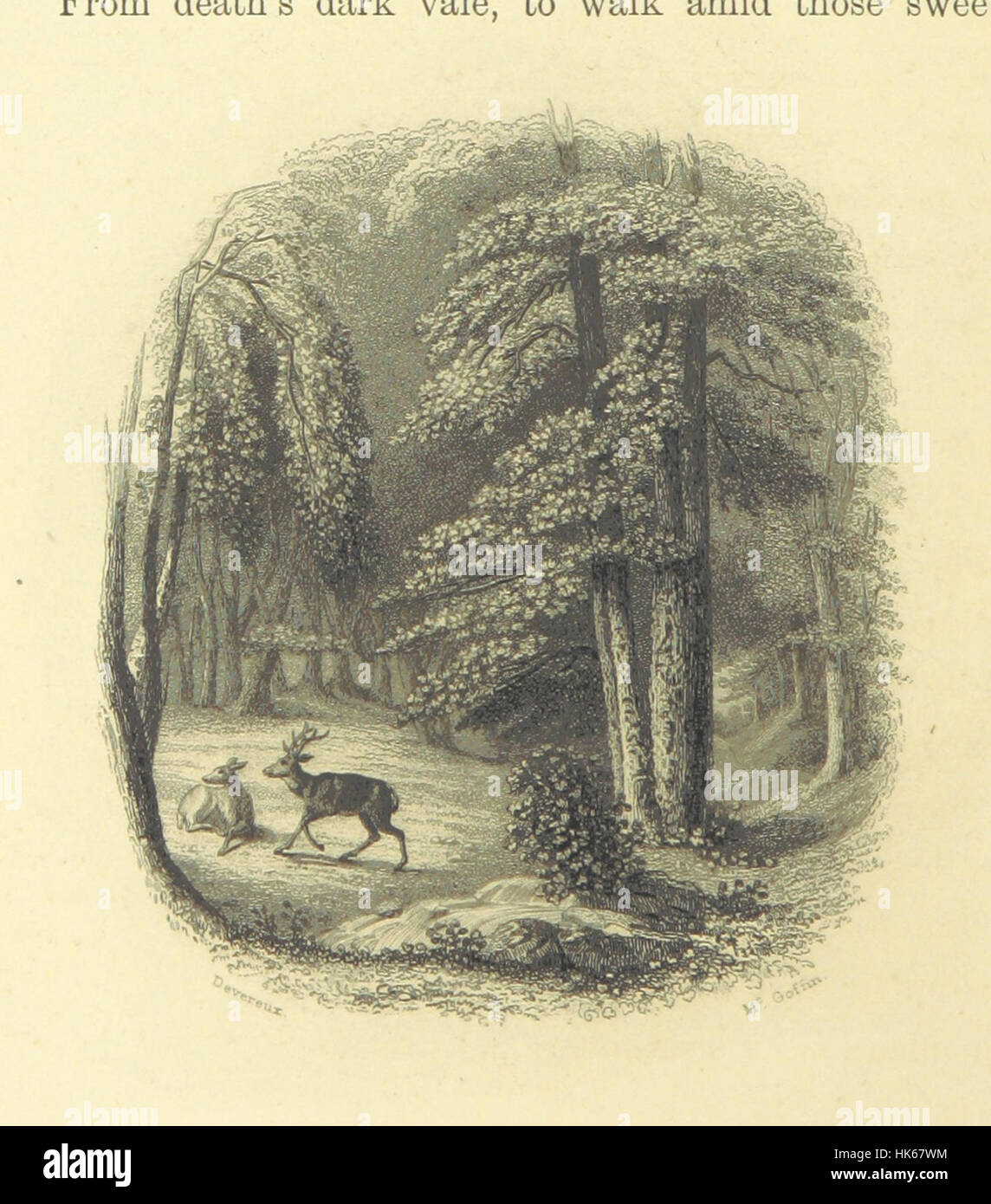 Image taken from page 232 of 'A Gallery of Famous English and American ...