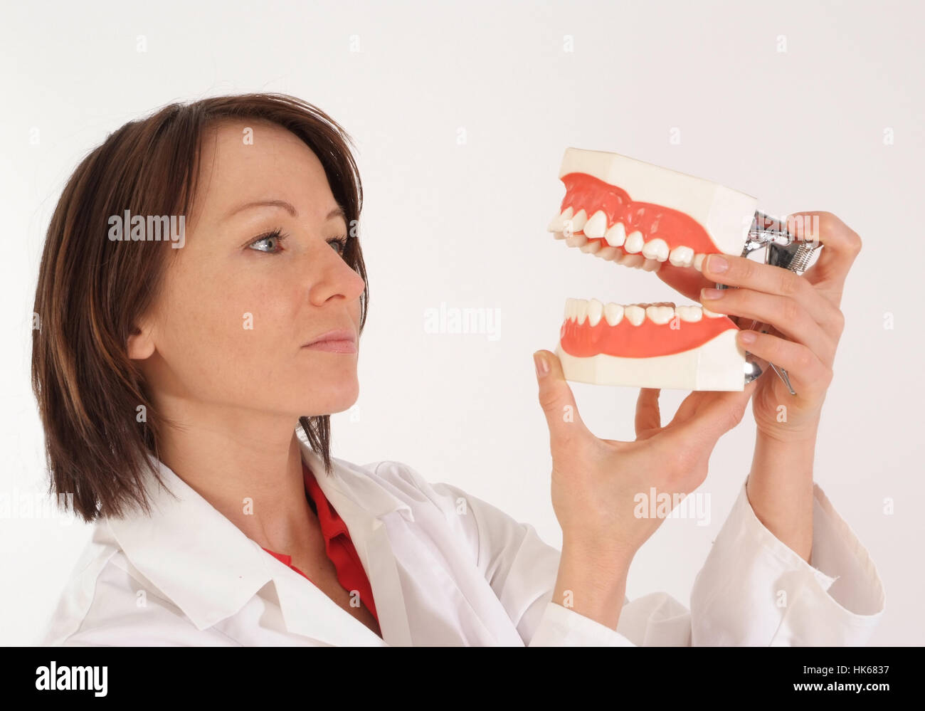 Dentist with dentures Stock Photo - Alamy