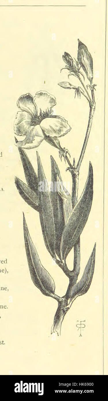 Photograph from 'The Illustrated Book of Sacred Poems,' featuring ...