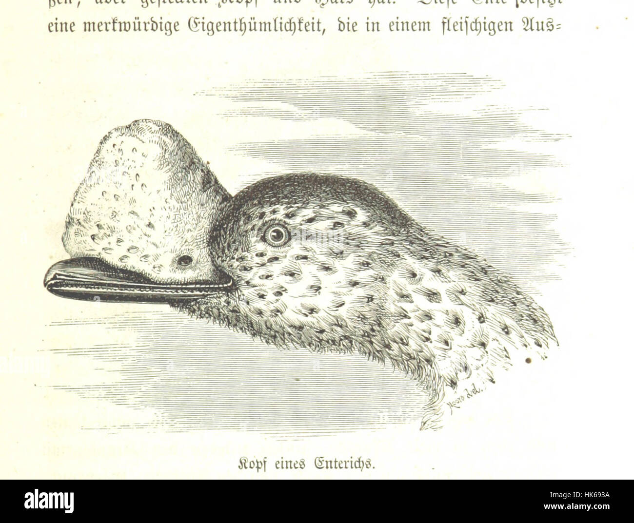 Vintage becken hi-res stock photography and images - Alamy