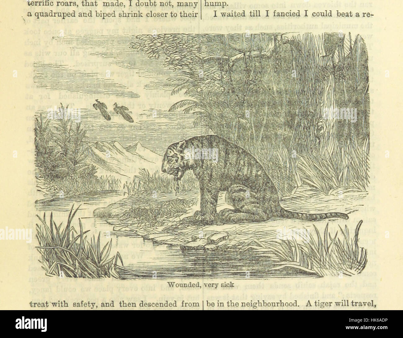 Illustration from 'Beeton's Historical Romances, Daring Deeds, and ...