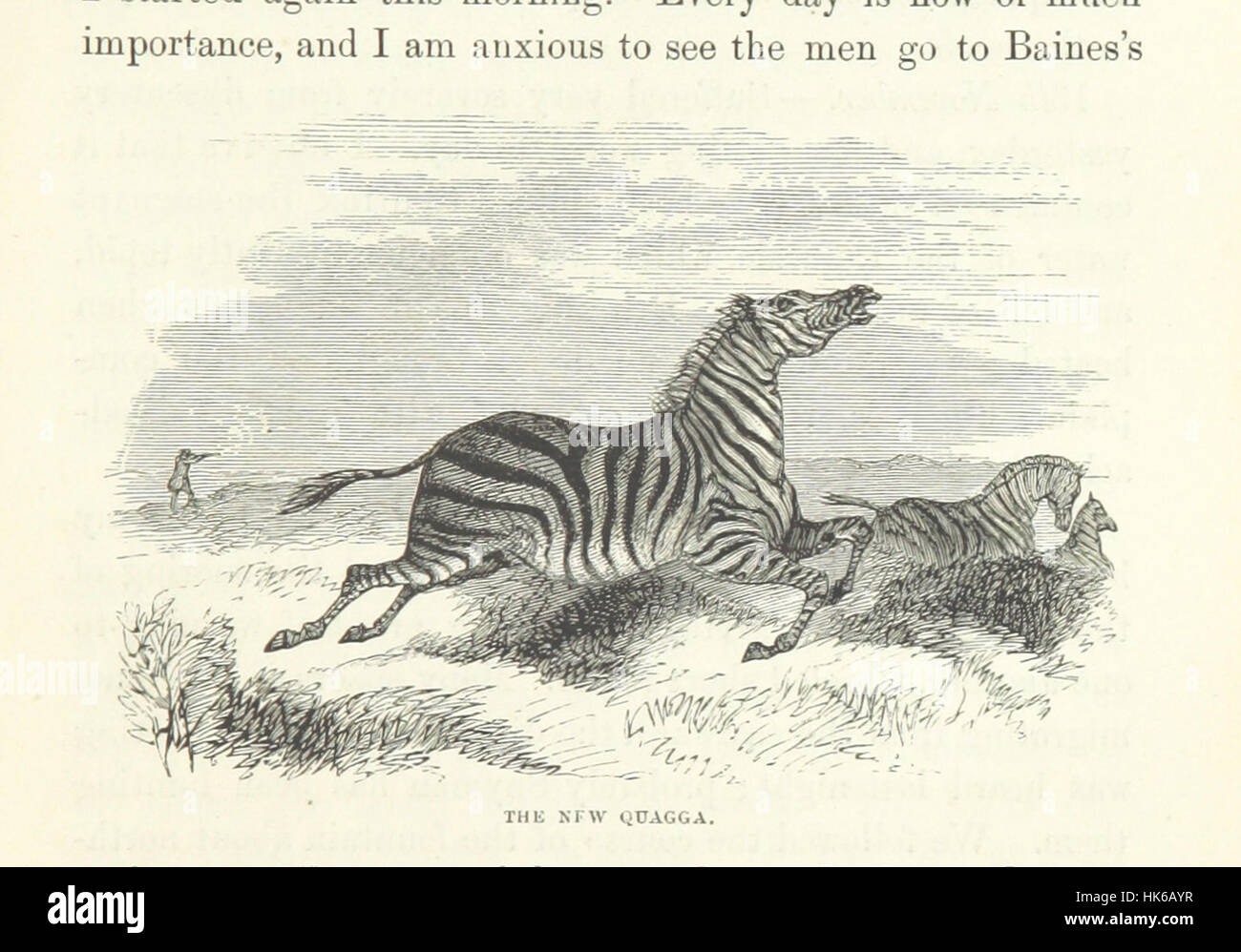 Image from 'Travels in the Interior of South Africa,' detailing a 15 ...