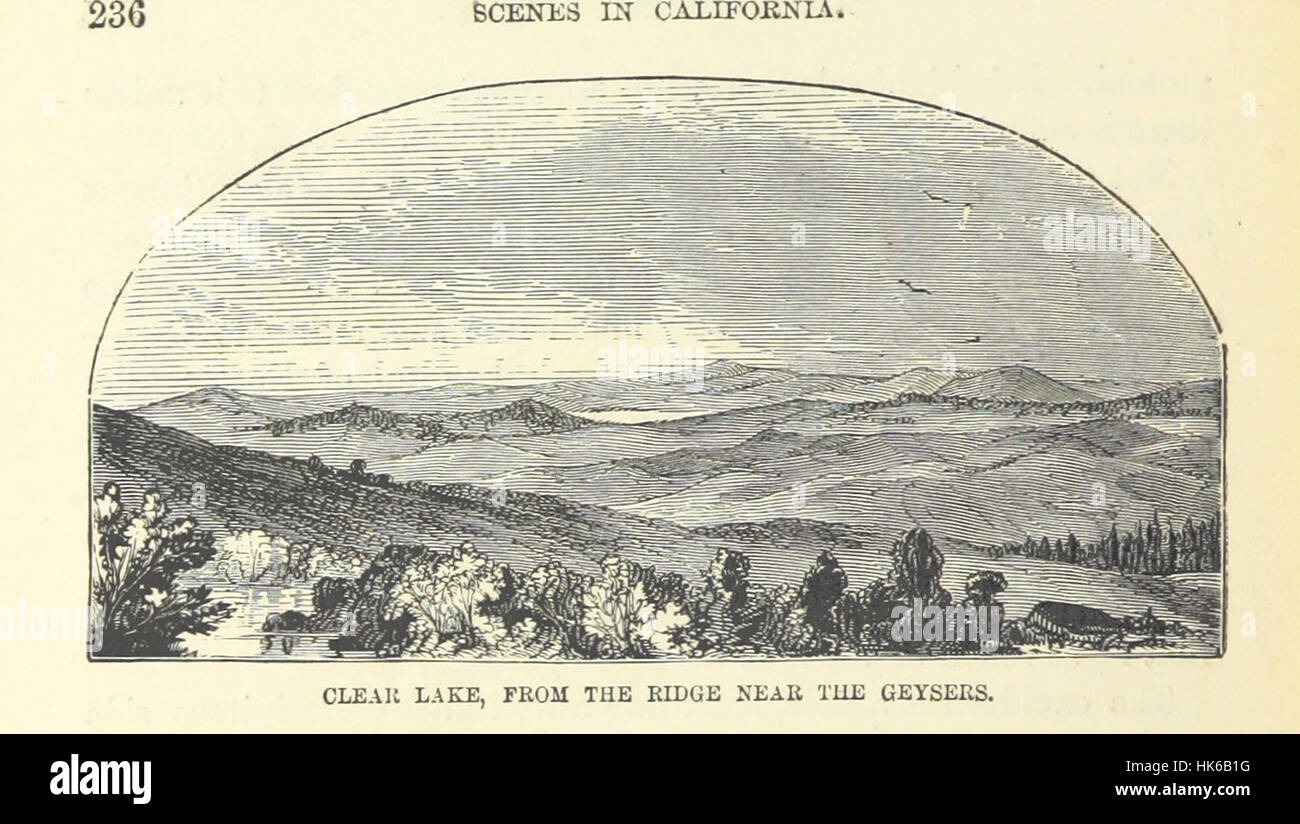 Illustration from 'Scenes of Wonder and Curiosity in California ...